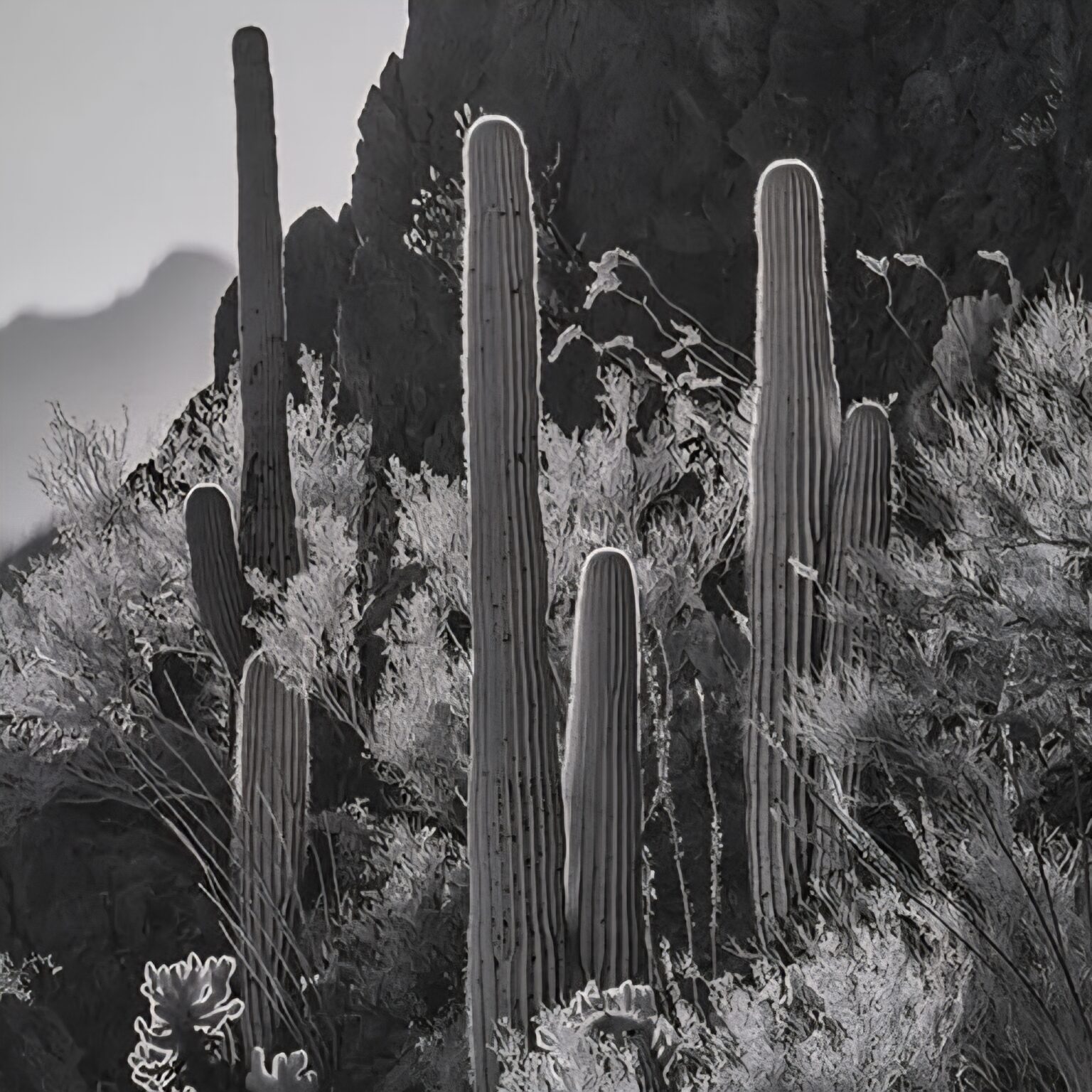 Home | InArtSantafe.com